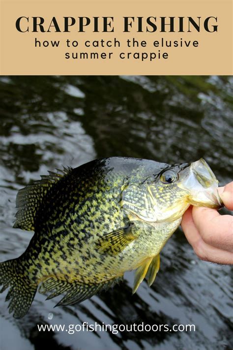 Getting Hooked On Spring Crappie Fishing Artofit