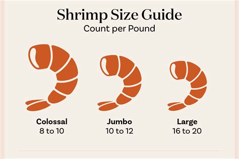 Shrimp Size Guide Everything You Need To Know The Kitchn 0 Hot Sex Picture