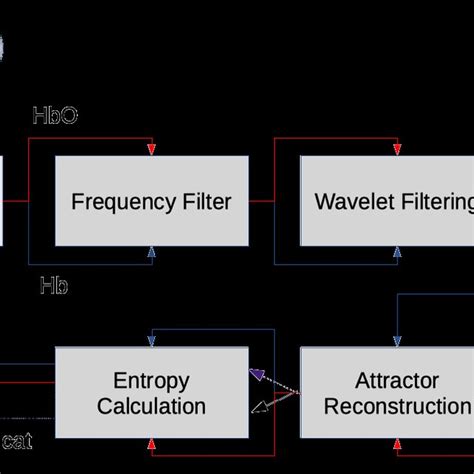 Pipeline For Processing Functional Near Infrared Spectroscopy Fnirs