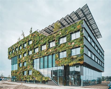Groene Gevel Wallflore Cloud Garden