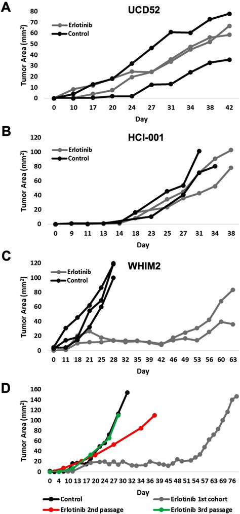 Development Of Acquired Erlotinib Resistance In An Erlotinib Sensitive Download Scientific