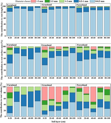 The Proportions Of Roots With Different Diameter Classes Contributing Download Scientific