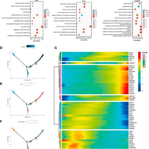 Single‐cell Analysis Reveals Cell Type Composition And Macrophage Download Scientific Diagram