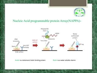 Protein Microarray Pptx