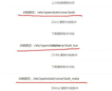「技术教程」openwrt配置openclash教程及解决启动问题 Eswlnk Blog