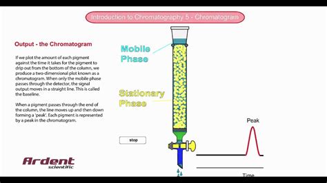 Introduction To Chromatography 5 Chromatogram Youtube