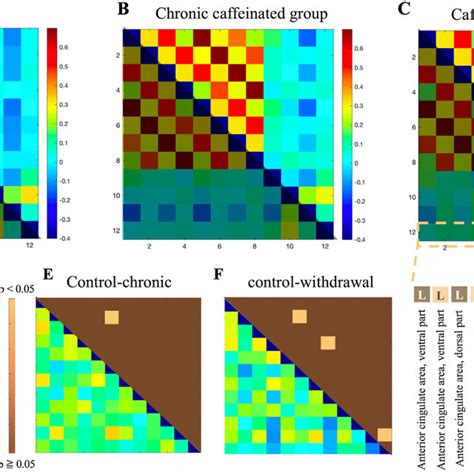 The Matrix Results Of The Functional Connectivity Analysis Are Shown Download Scientific