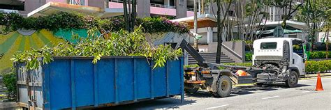 Tree Debris Removal VetCor Services