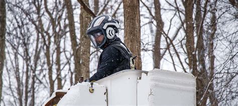 Winter Tree Care Tips To Stay Warm Sherrilltree