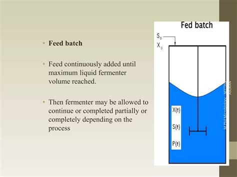 Upstream And Down Stream Process Pptx