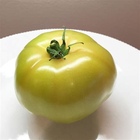 Premium Photo Green Tomatoes