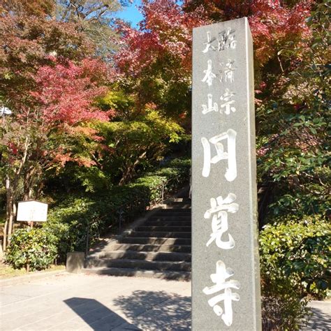 紅葉が始まってる円覚寺 Syrupの日記