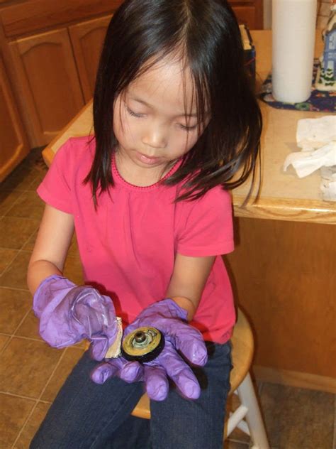 Cleaning Female Connectors Forum Toyota Lexus And Off Road Community Discussions