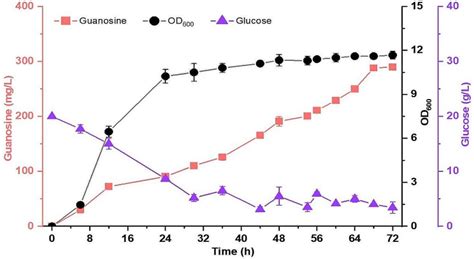 Efficient Production Of Guanosine In Escherichia Coli By Combinatorial Metabolic Engineering Pmc