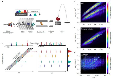 4d Dia技术 蛋白质组学领军科学家带您走进4d组学新时代 搜狐大视野 搜狐新闻