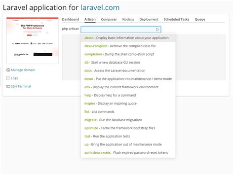 Laravel Toolkit Extension Plesk
