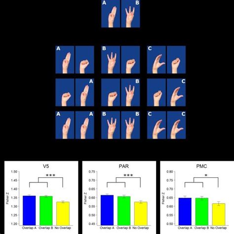 Results Of The Representational Similarity Analyses Testing Whether The Download Scientific