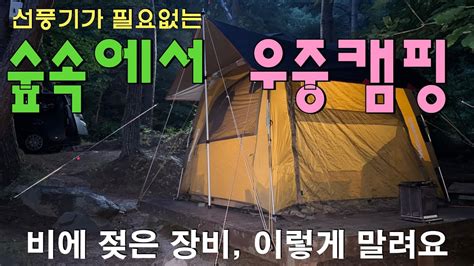 에어컨도 선풍기도 필요없는 숲속에서 우중캠핑 비에 젖은 장비를 이렇게 말려요 순정 스타리아 차박 Youtube
