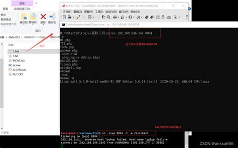 Linux反弹shelllinux 反弹shell指定网卡ip Csdn博客
