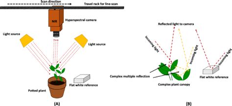 A Schematic Of Close Range Hyperspectral Imaging Of Plants A A