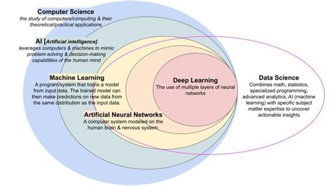 Bonifacio Runez On Linkedin The Relationship Between Ai And Data Science