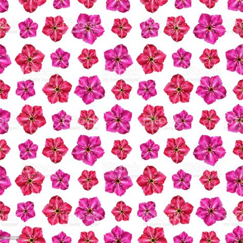 결혼식 어머니의 날 여성의 날 아버지의 날 발렌타인 데이 생일 봄과 여름 꽃다발을 위한 물망초가 있는 수채화 이음매 없는 패턴 흰색 배경에 분리된 요소
