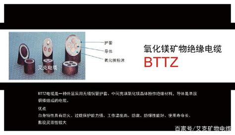 Bttz