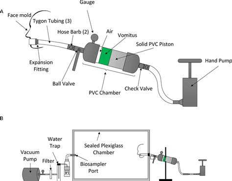 Schematic Of Simulated Vomiting Device A Diagram Of The Simulated Download Scientific