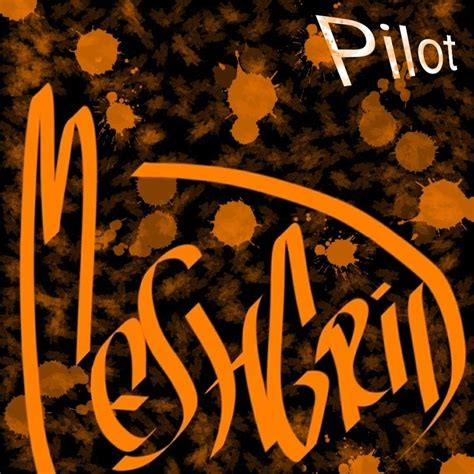 Meshgrid Pilot Lyrics And Tracklist Genius