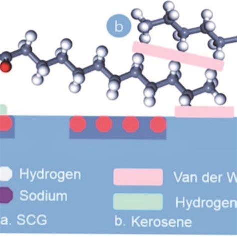 Structure Of Scg Sodium Cocoyl Glycinate Download Scientific Diagram