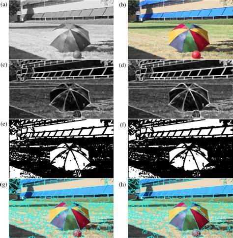 Watershed Segmentation From The Image Gradient And Markers Input Image Download Scientific