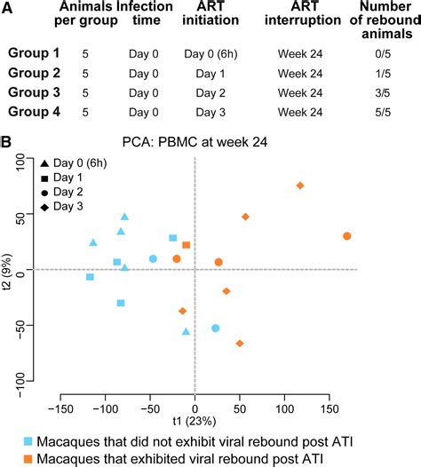 Peripheral Blood Biomarkers Predict Viral Rebound Following