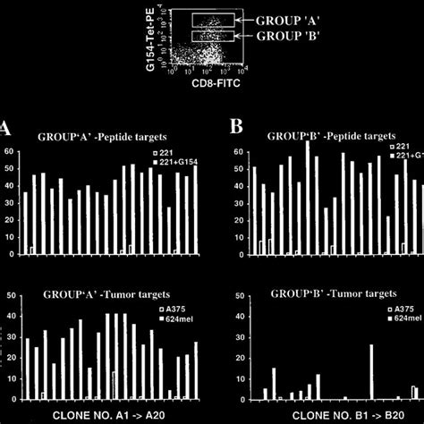 Staining Of Tetramer High Tumor Reactive T Cell Clones From Download Scientific Diagram