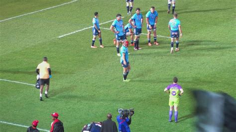 Southafricangirlstwerking Videos Download The Best Free 4k Stock