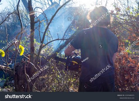 Man Pruning Sawing Apple Tree Using Stock Photo Shutterstock