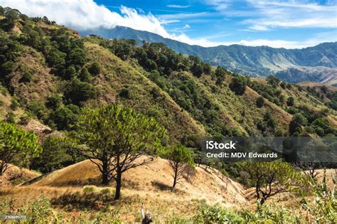 맑고 푸른 하늘 아래 산의 절묘한 전망 푸른 소나무와 푹신한 구름이 고요한 아름다움을 더합니다 코르디예라 산맥의 일부인 팡가시난의 산 니콜라스에서 자연에 대한 스톡 사진 및