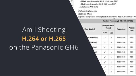 H 265 Vs H 264 On Panasonic Lumix Cameras Does The Lumix Gh6 Shoot