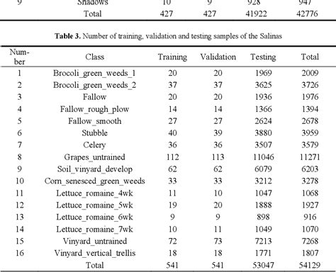Table 1 From A 3d 2d Convolutional Neural Network Model For Hyperspectral Image Classification