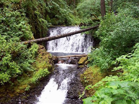 Understanding Spiritual Sexuality