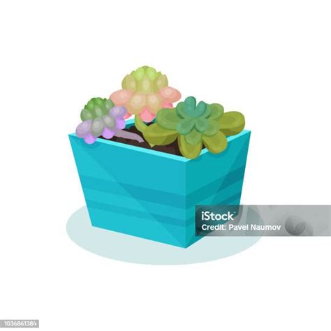 즙이 많은 실내 집 식물 냄비 흰색 바탕에 장식 홈 인테리어 벡터 일러스트 레이 션에 대 한 요소에 0명에 대한 스톡 벡터 아트 및 기타 이미지 Istock