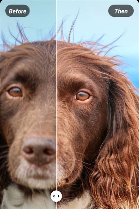 Sharpen Your Blurry Photos For You By Hseyinerdura779 Fiverr