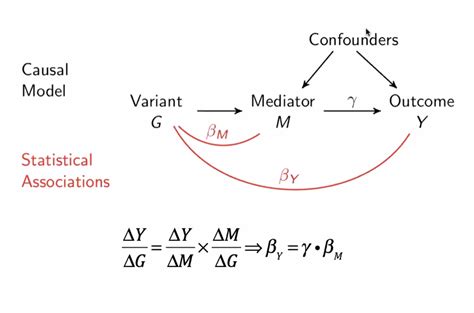 Simple Two Sample Mendelian Randomisation Examples • Simulategp