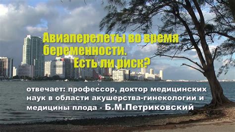 Безопасно ли летать на самолете во время беременности? - YouTube
