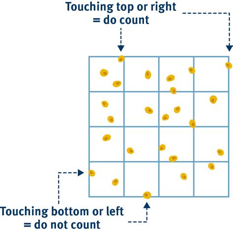 How To Count Cells With A Hemocytometer Chemometec