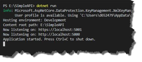 Deploy A Net Core Api With Docker Dotnet Playbook