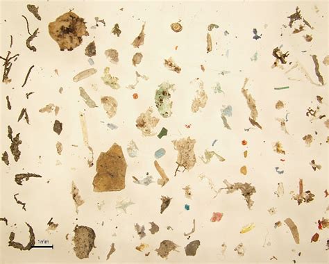 Relating Microplastic Counts In Sediment Cores To Macroeconomic