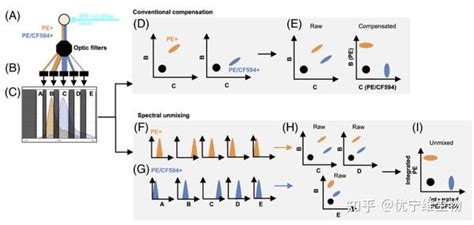 光谱细胞术和常规流式的比较 知乎