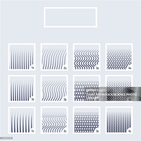 Hair Types Chart Illustration High Res Vector Graphic Getty Images