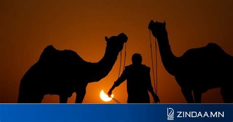 Фото Хагас нар хиртэлт дэлхийн улс орнуудад