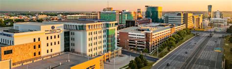 Bioinformatics And Genomics Undergraduate Certificate Majors Programs Certificates And